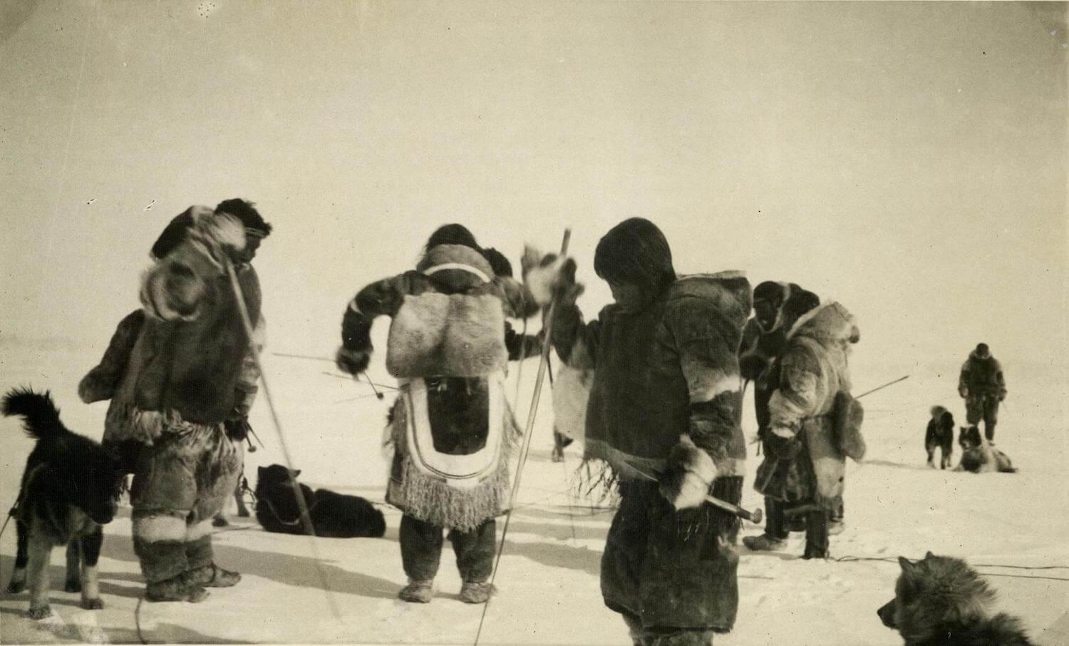 Inuit and Inuvialuit communities' livelihoods and cultures threatened ...